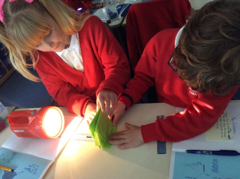Preston Candover CE Primary School - Science